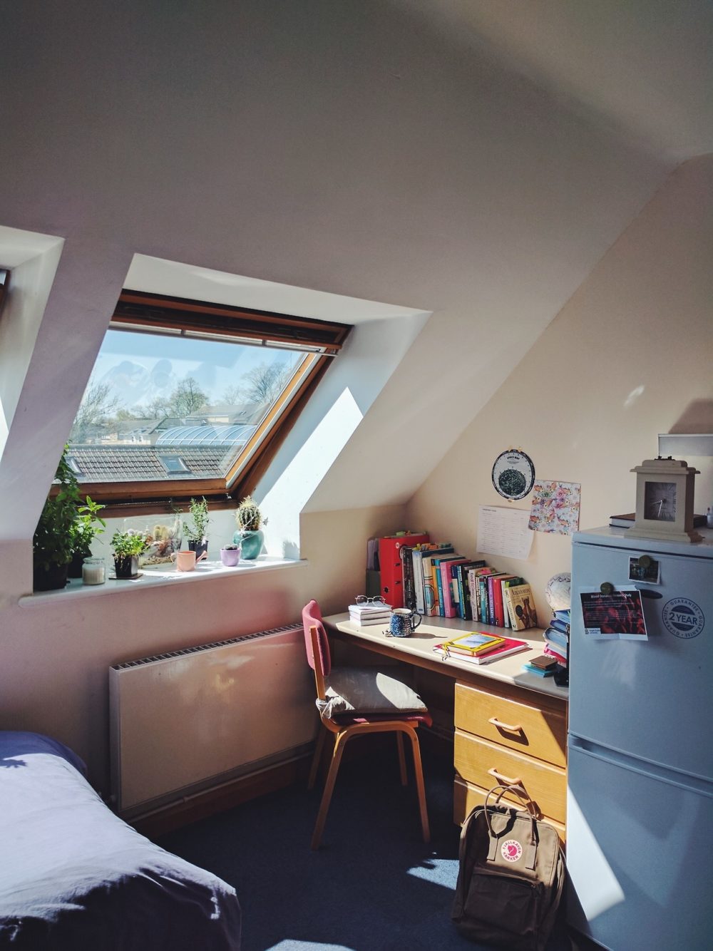 How to Make Your Student Accommodation Your Own | L'Essenziale